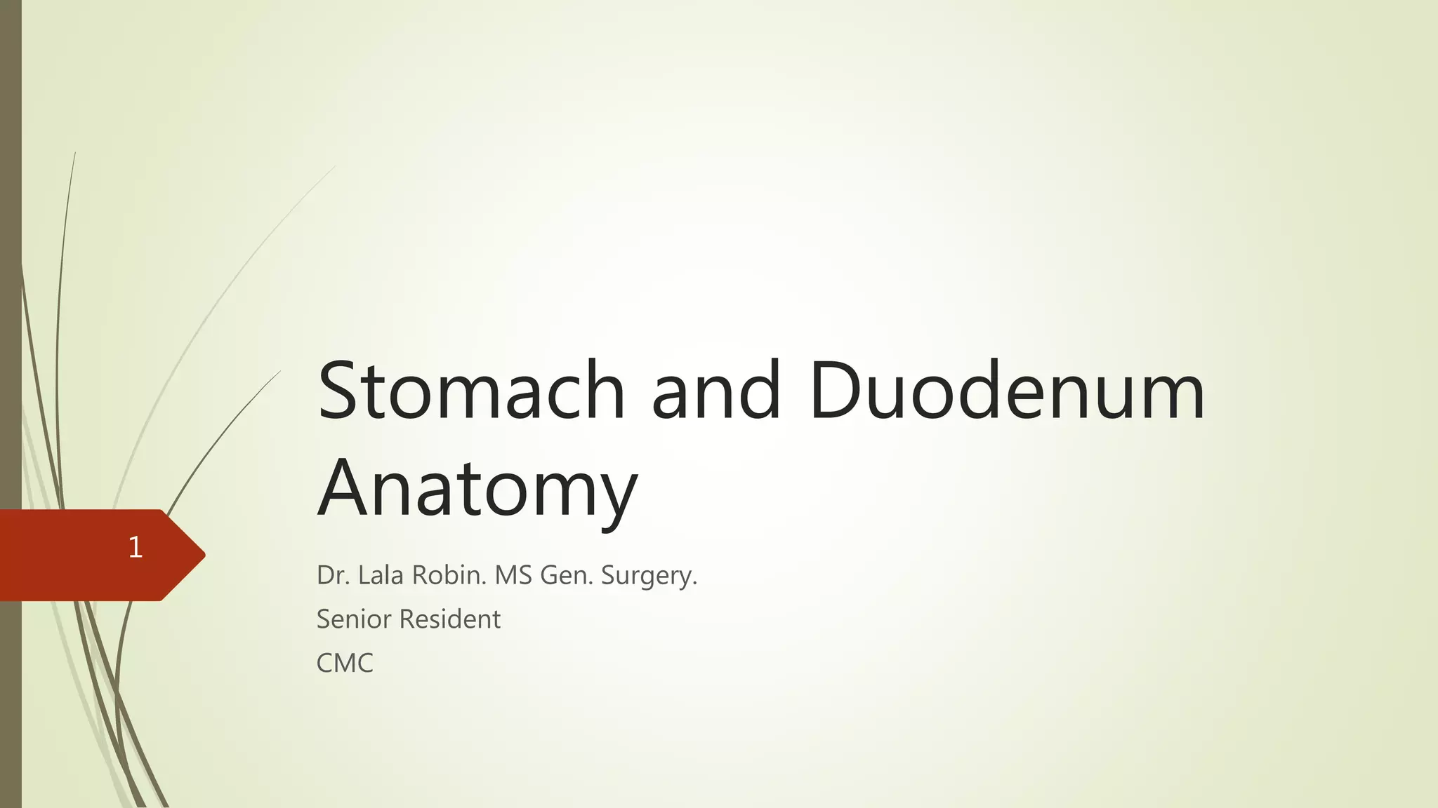 Stomach and duodenum anatomy and physiology | PPTX