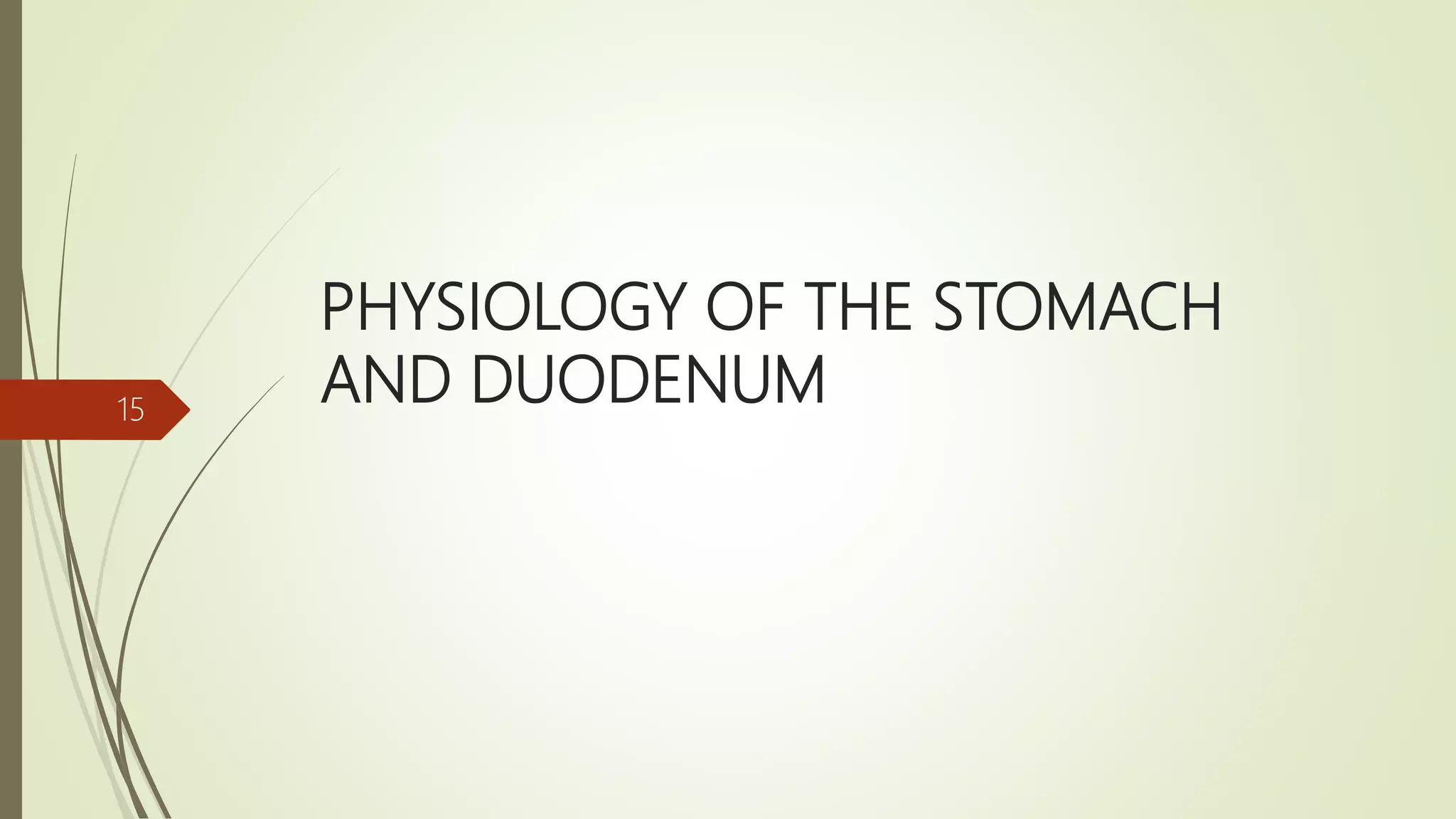 Stomach and duodenum anatomy and physiology | PPTX