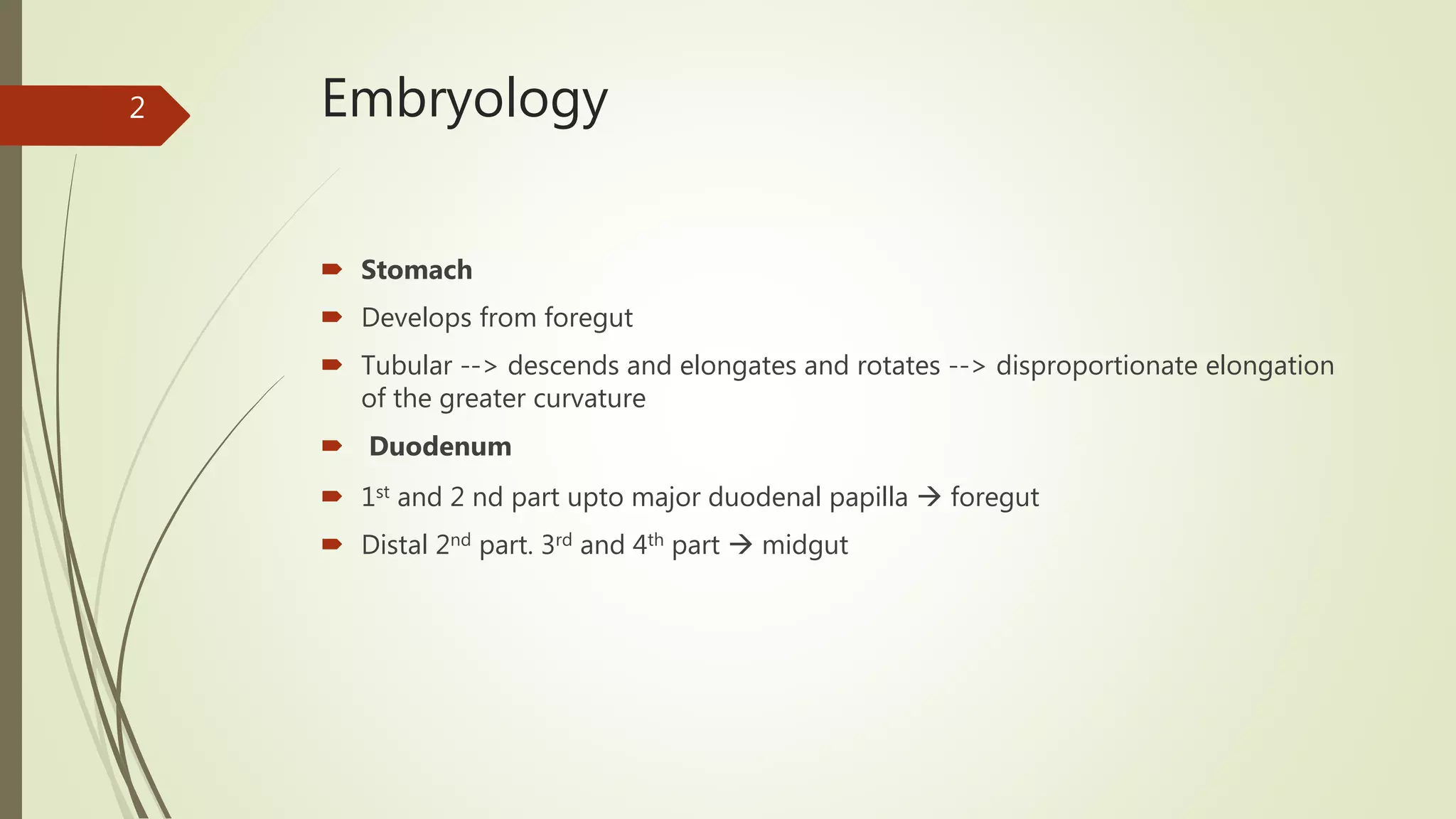 Stomach and duodenum anatomy and physiology | PPTX