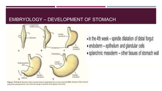 Stomach and duodenum_-_benign_lesions[2] | PPTX
