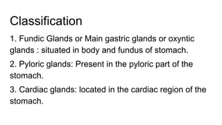 Stomach and its Secretions.pptx