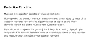 Stomach and its Secretions.pptx