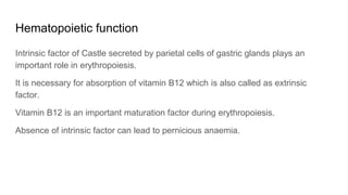 Stomach and its Secretions.pptx