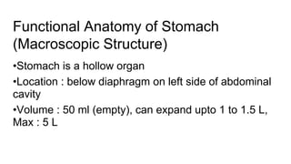 Stomach and its Secretions.pptx
