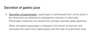 Stomach and its Secretions.pptx