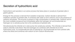 Stomach and its Secretions.pptx