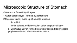 Stomach and its Secretions.pptx