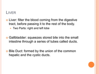 Stomach and liver powerpoint | PPTX