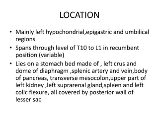 STOMACH AND SPLEEN GROSS ANATOMY LECTURE.pptx | Pregnancy ...