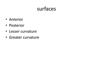 STOMACH AND SPLEEN GROSS ANATOMY LECTURE.pptx | Pregnancy ...