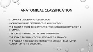 GASTRIC JUICE | PPTX