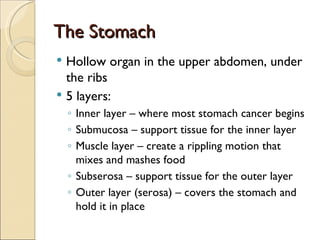 stomachcancer072608-1227563499223271-8.pdf