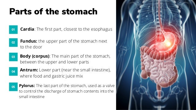 Stomach cancer specialists.pdf
