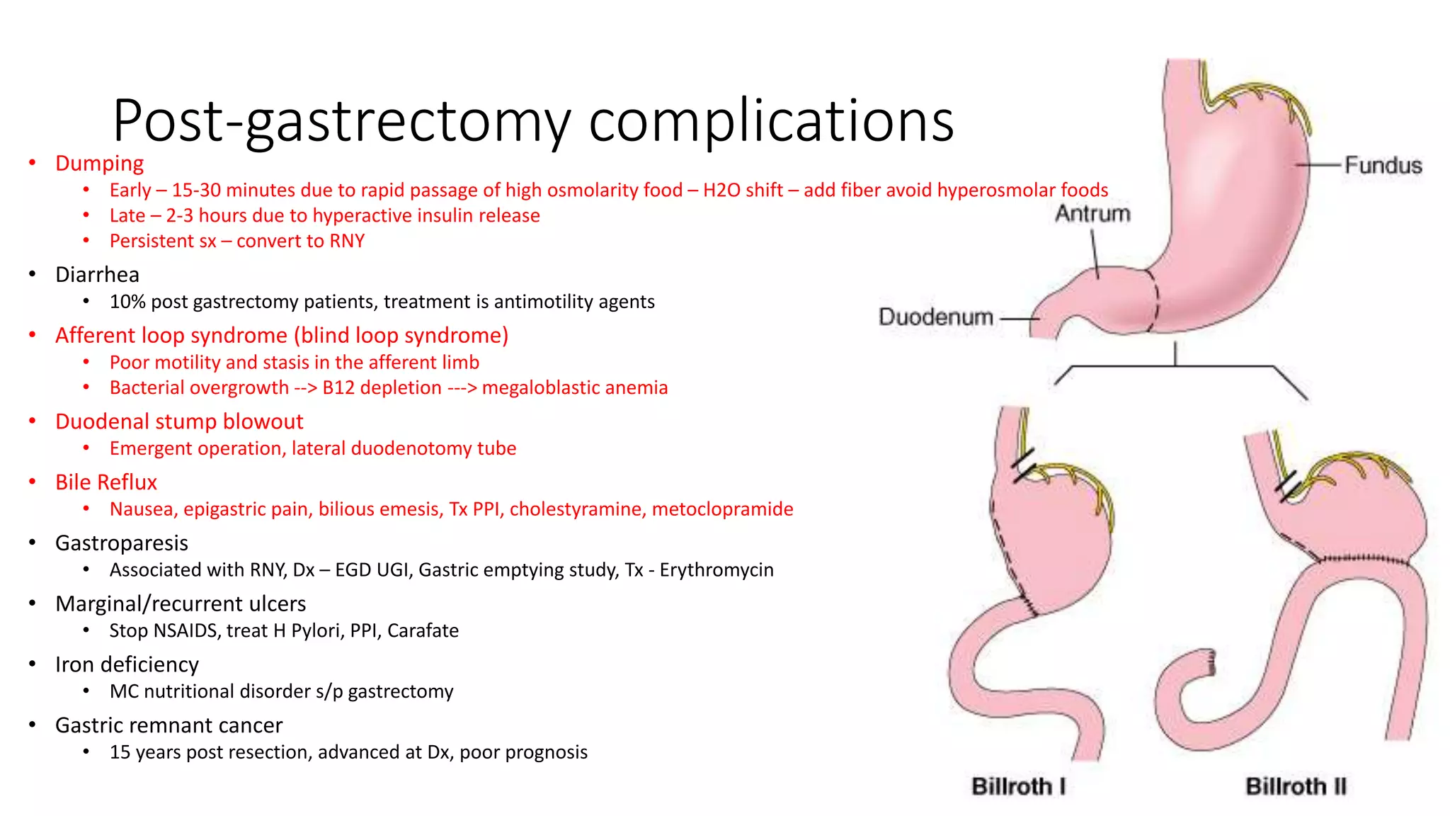Stomach Review | PPTX