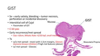 Stomach Review | PPT