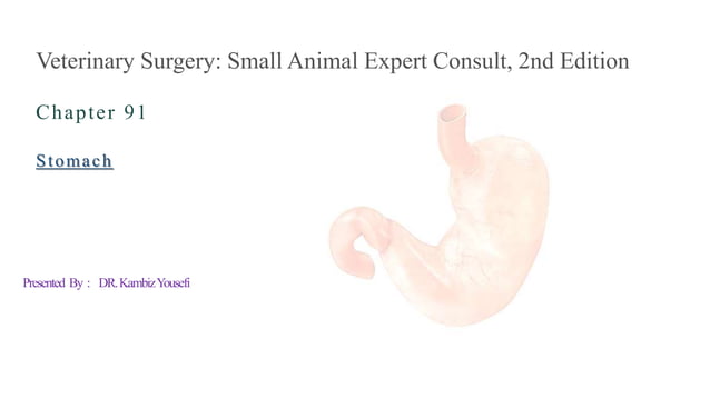 Basic of Small Animals Stomach Surgery | PPTX | Digestive Disorders ...
