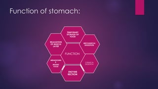 Digestive system/Stomach/gastric juice/nursing | PPTX
