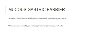 Stomach histology | PPTX