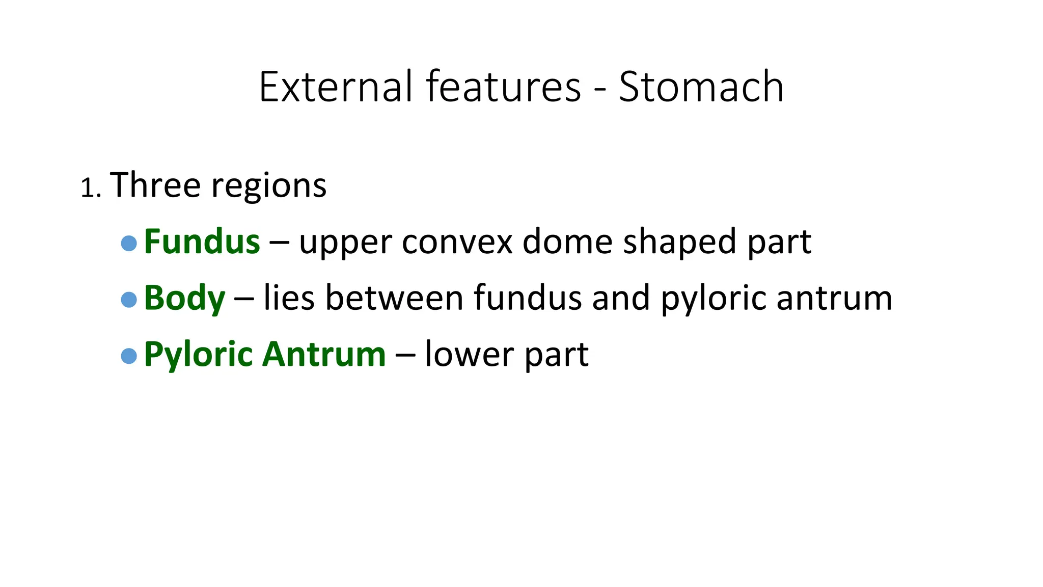 stomach anatomy for allied health science new.pptx