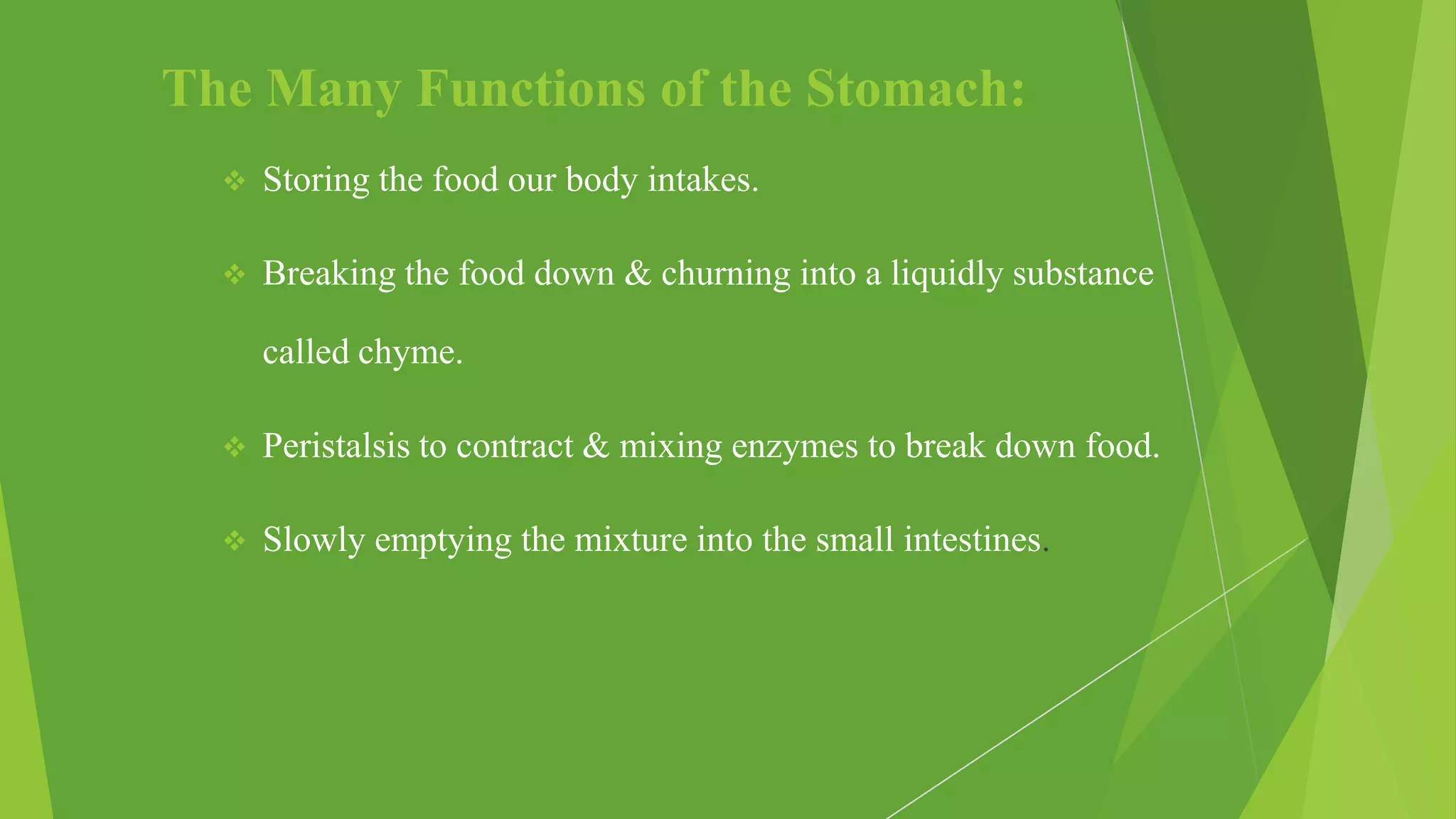 Stomach Presentation | PPTX