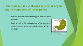 Stomach Presentation | PPTX