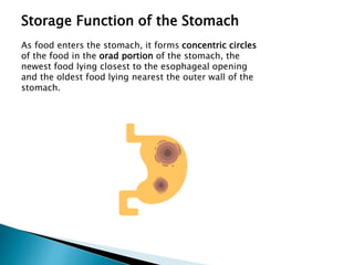 STOMACH (PART 1).pptx