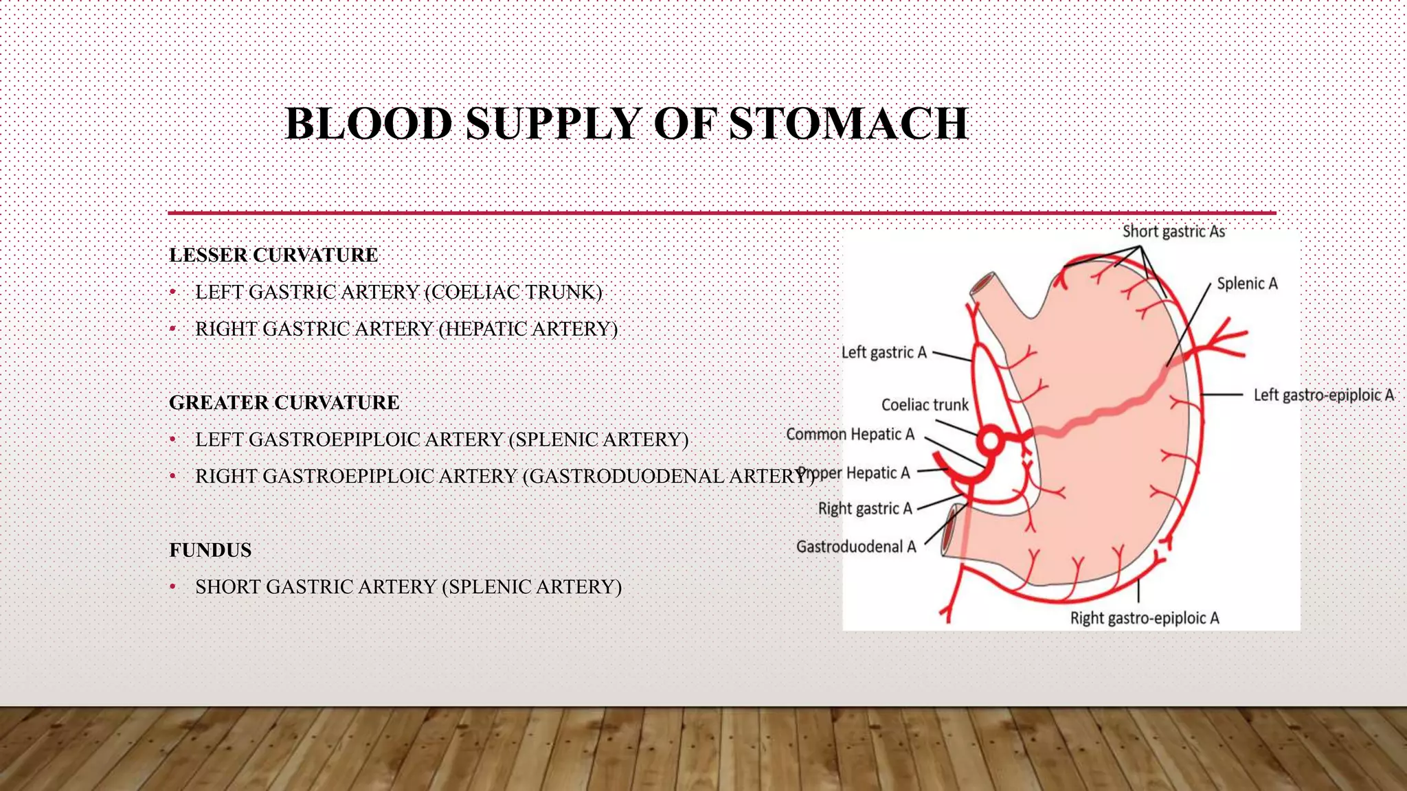 Stomach physiology | PPTX