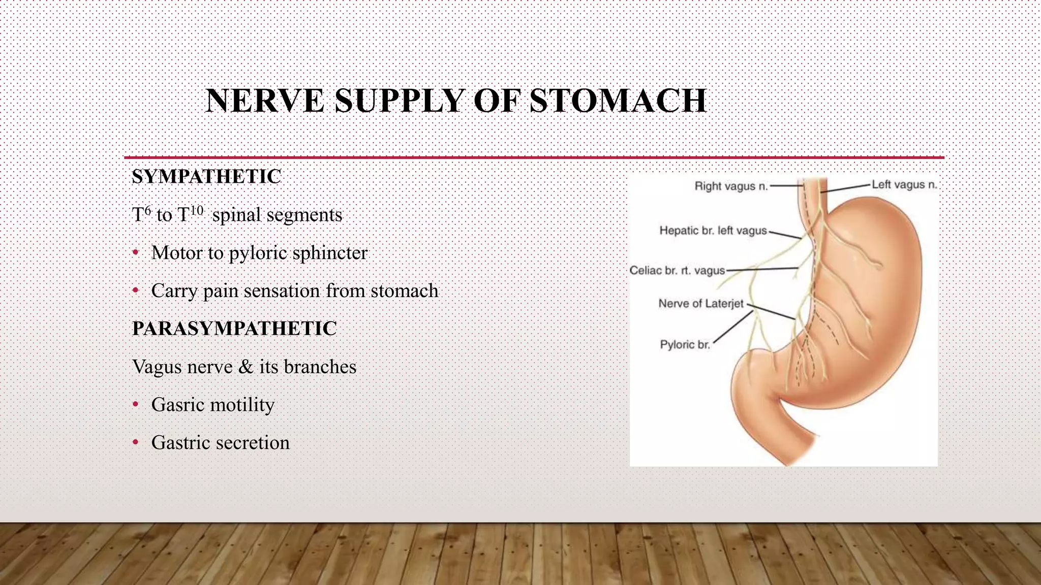 Stomach physiology | PPTX
