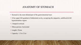 Stomach physiology | PPTX