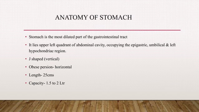Stomach physiology | PPTX