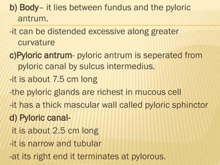 Stomach PPT.pptx anatomy of stomach and git | PPTX