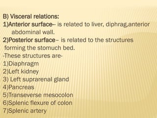 Stomach PPT.pptx anatomy of stomach and git | PPTX