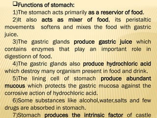 Stomach PPT.pptx anatomy of stomach and git | PPTX
