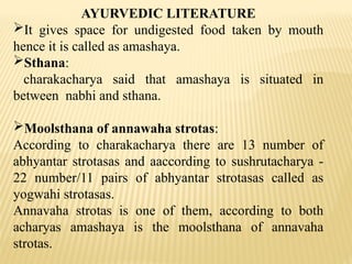 Stomach PPT.pptx anatomy of stomach and git | PPTX | Pregnancy ...