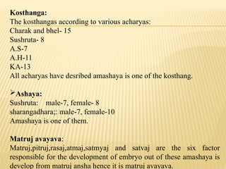 Stomach PPT.pptx anatomy of stomach and git | PPT