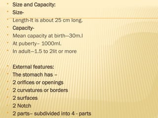 Stomach PPT.pptx anatomy of stomach and git | PPTX | Pregnancy ...