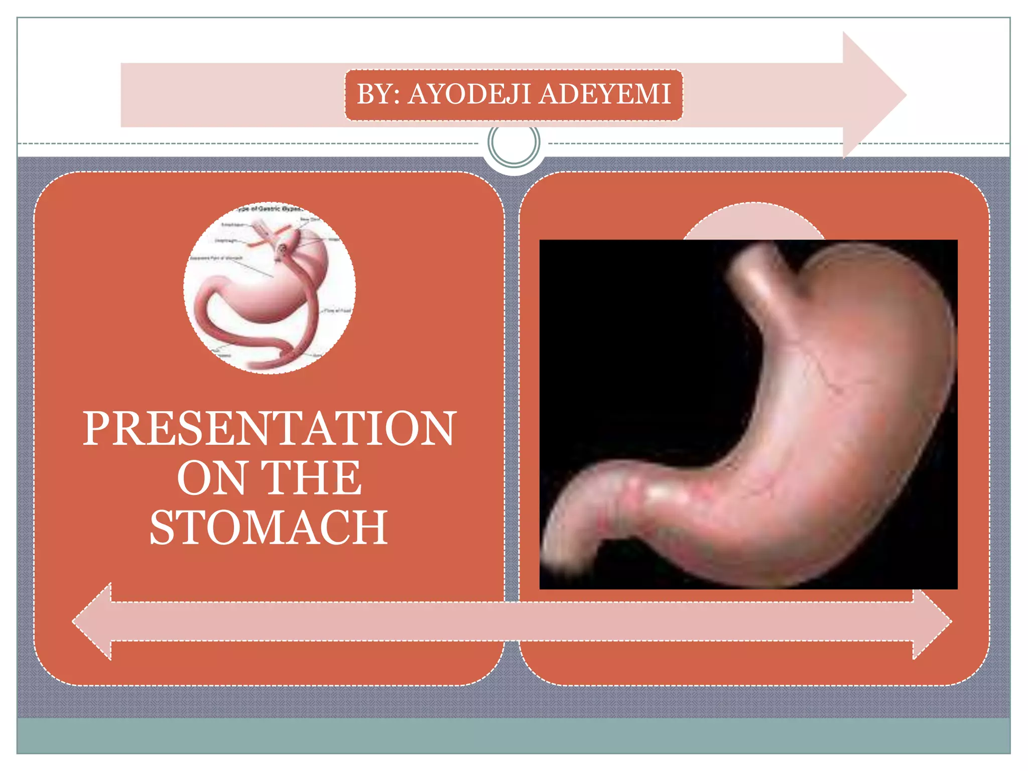 Stomach help | PPT