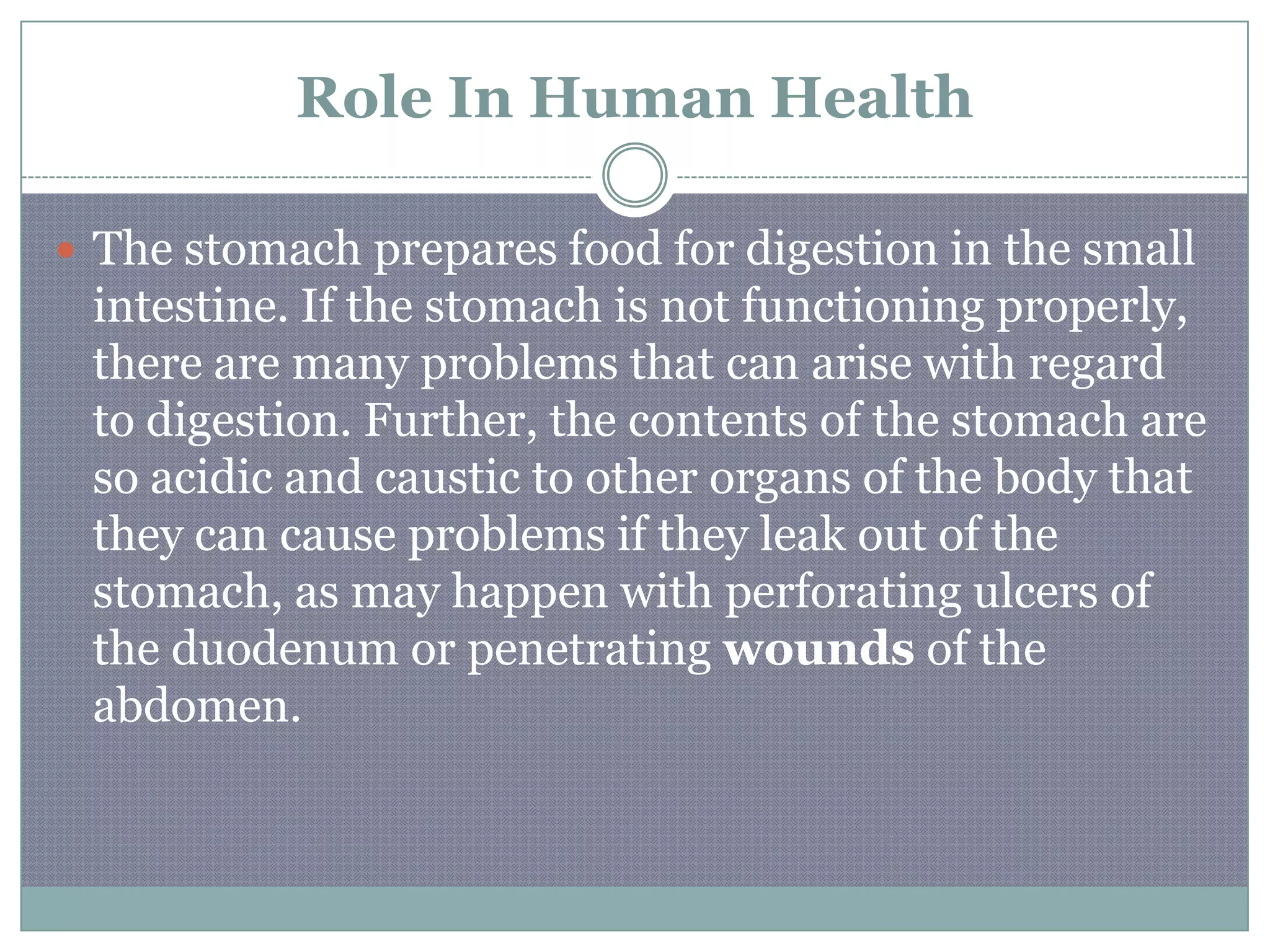 Stomach help | PPT