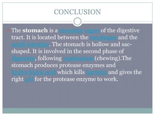 Stomach help | PPSX