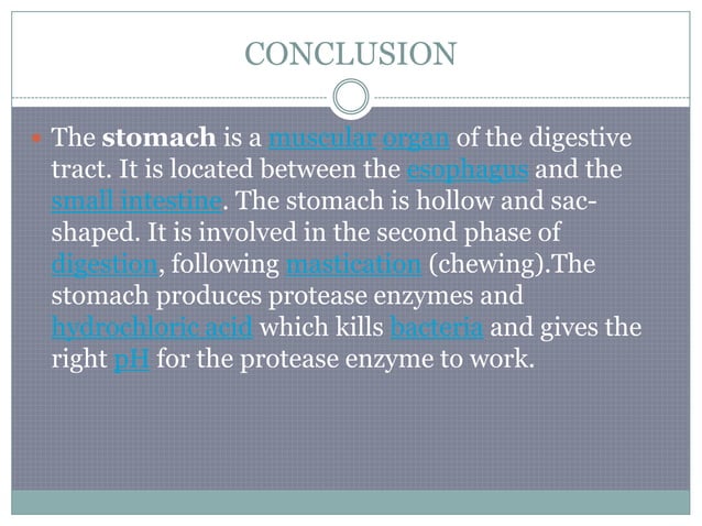 Stomach Presentation | PPSX | Medical Health