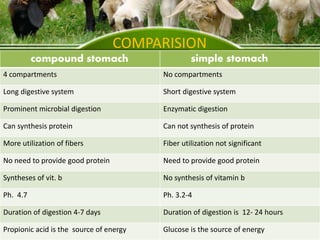 comparative anatomy of aniaml stomach and pathology of ruminent stomac ...