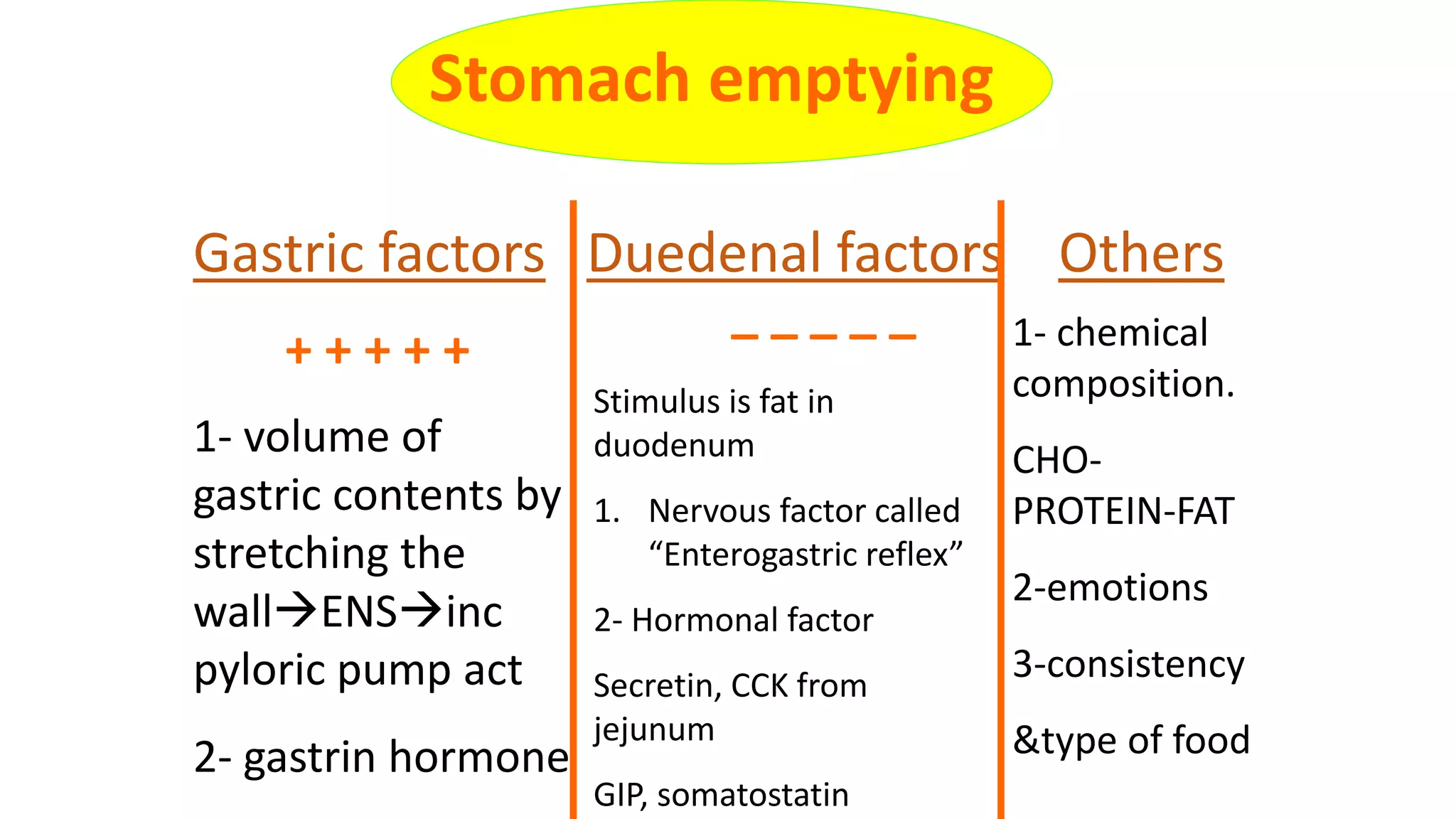 Stomach ANATOMY, FUNCTIONS AND SECRETIONS (the guyton and hall ...