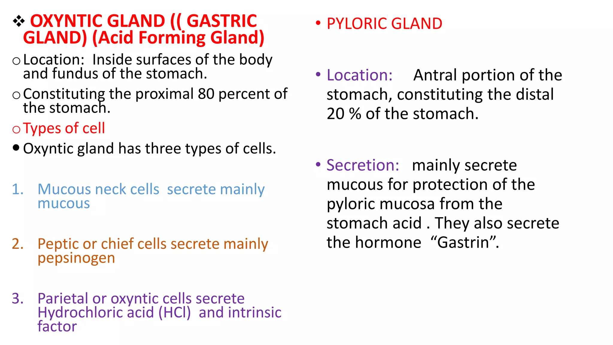 Stomach ANATOMY, FUNCTIONS AND SECRETIONS (the guyton and hall physiology) | PPTX