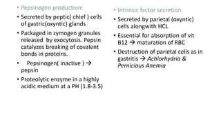 Stomach ANATOMY, FUNCTIONS AND SECRETIONS (the guyton and hall ...