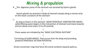 Stomach ANATOMY, FUNCTIONS AND SECRETIONS (the guyton and hall ...