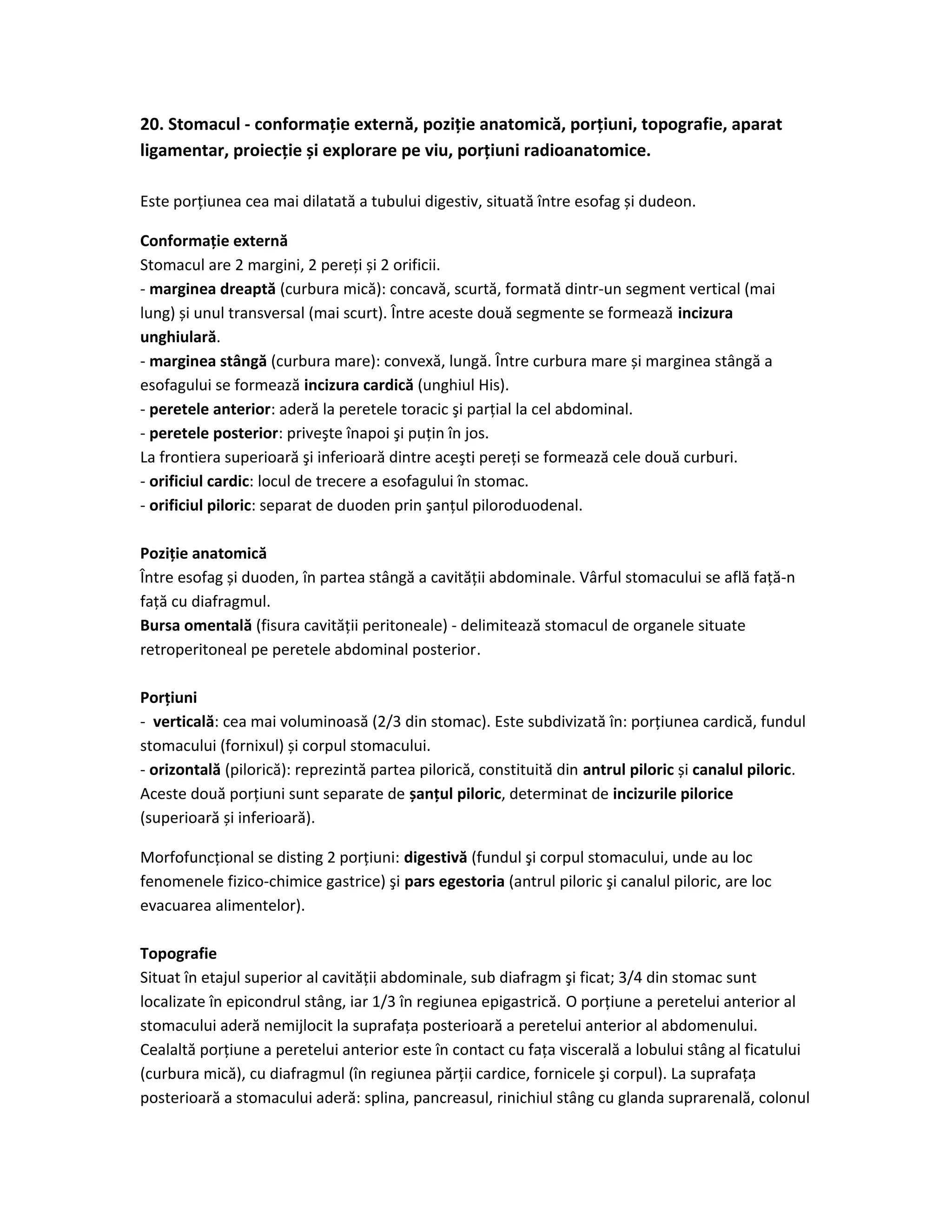Anatomie: Stomacul | RTF