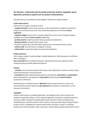 Anatomie: Stomacul | PDF