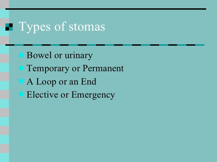 Stoma modules caring for the stoma patient