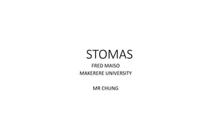 Stoma | PPT