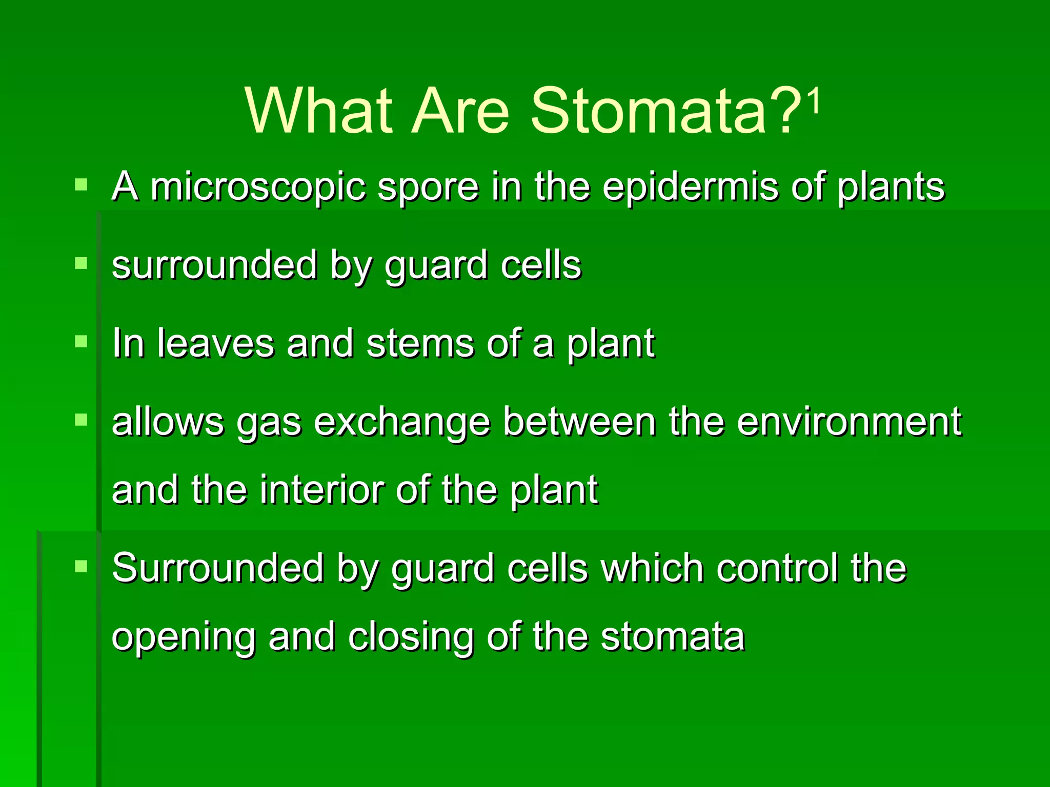 Stomata density denzel,breana | PPT